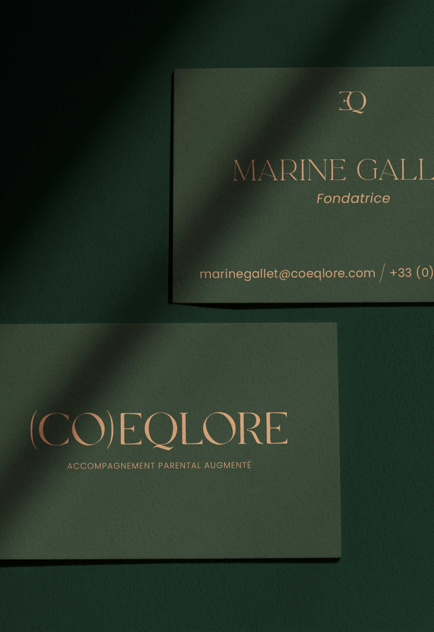 Zéphyr - identité visuelle